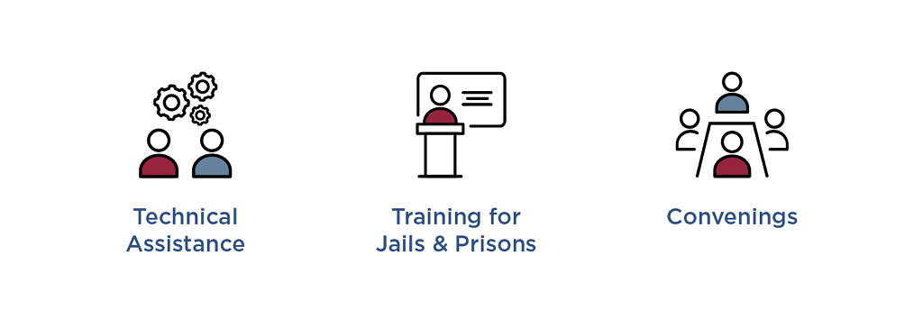 Institutional Corrections - CJI