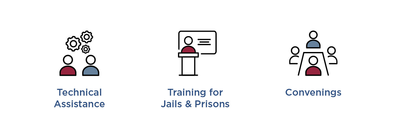 Institutional Corrections - CJI